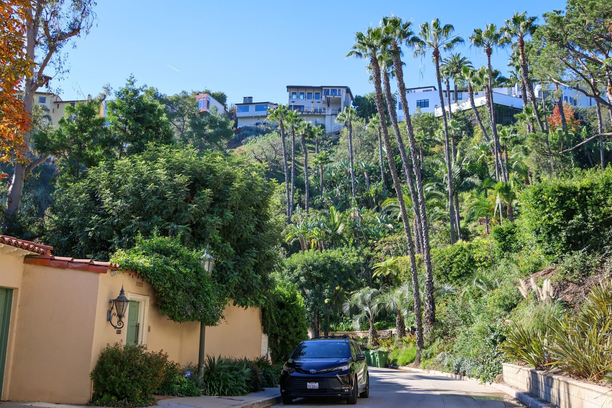 Board of Forestry Pauses Zone 0 Decision - Wildfire Los Angeles