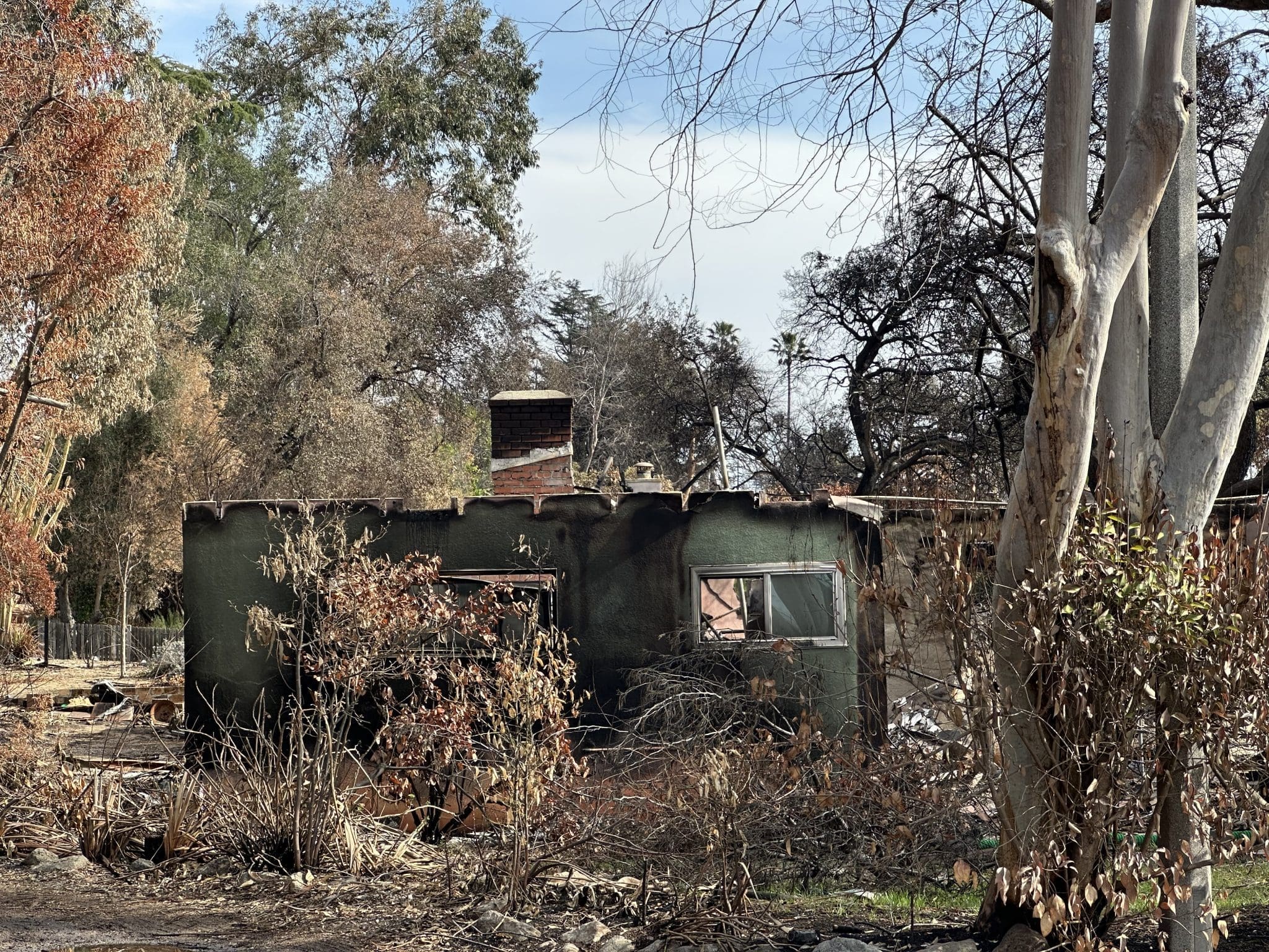 Board of Forestry Pauses Zone 0 Decision - Wildfire Los Angeles